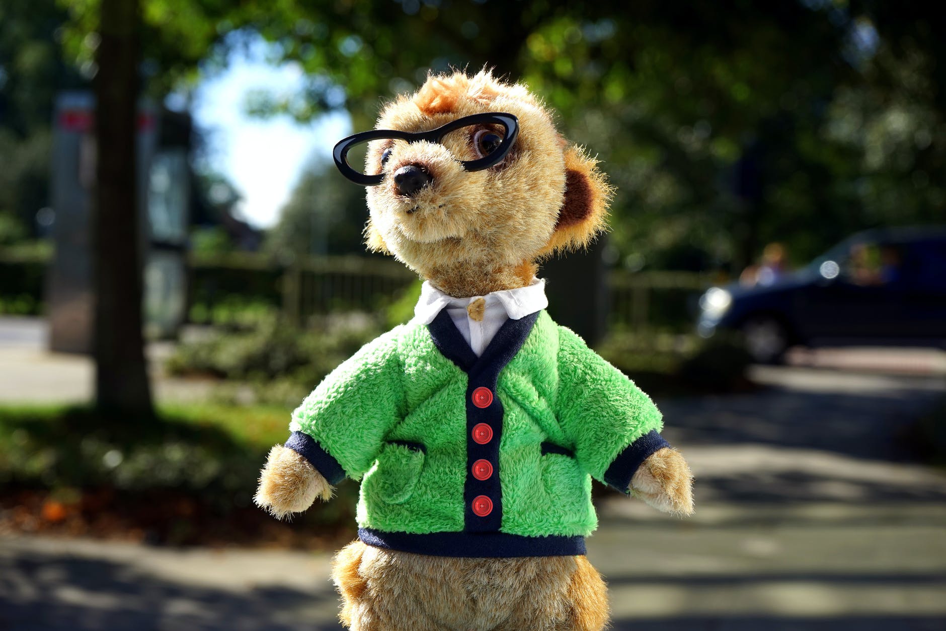 Home Insurance With Free Gift - Emerald Life